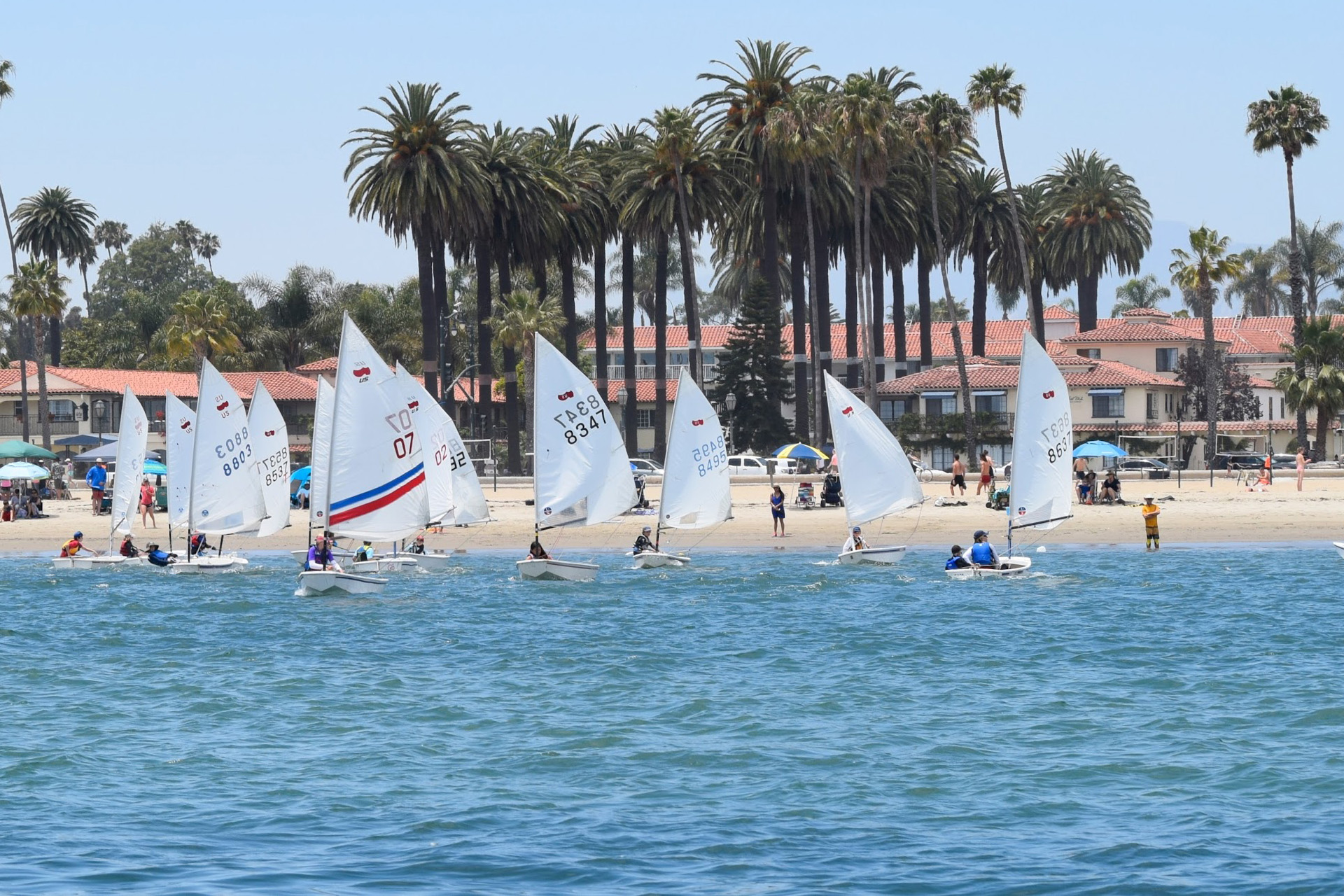 Members « Santa Barbara Sea Shell Association