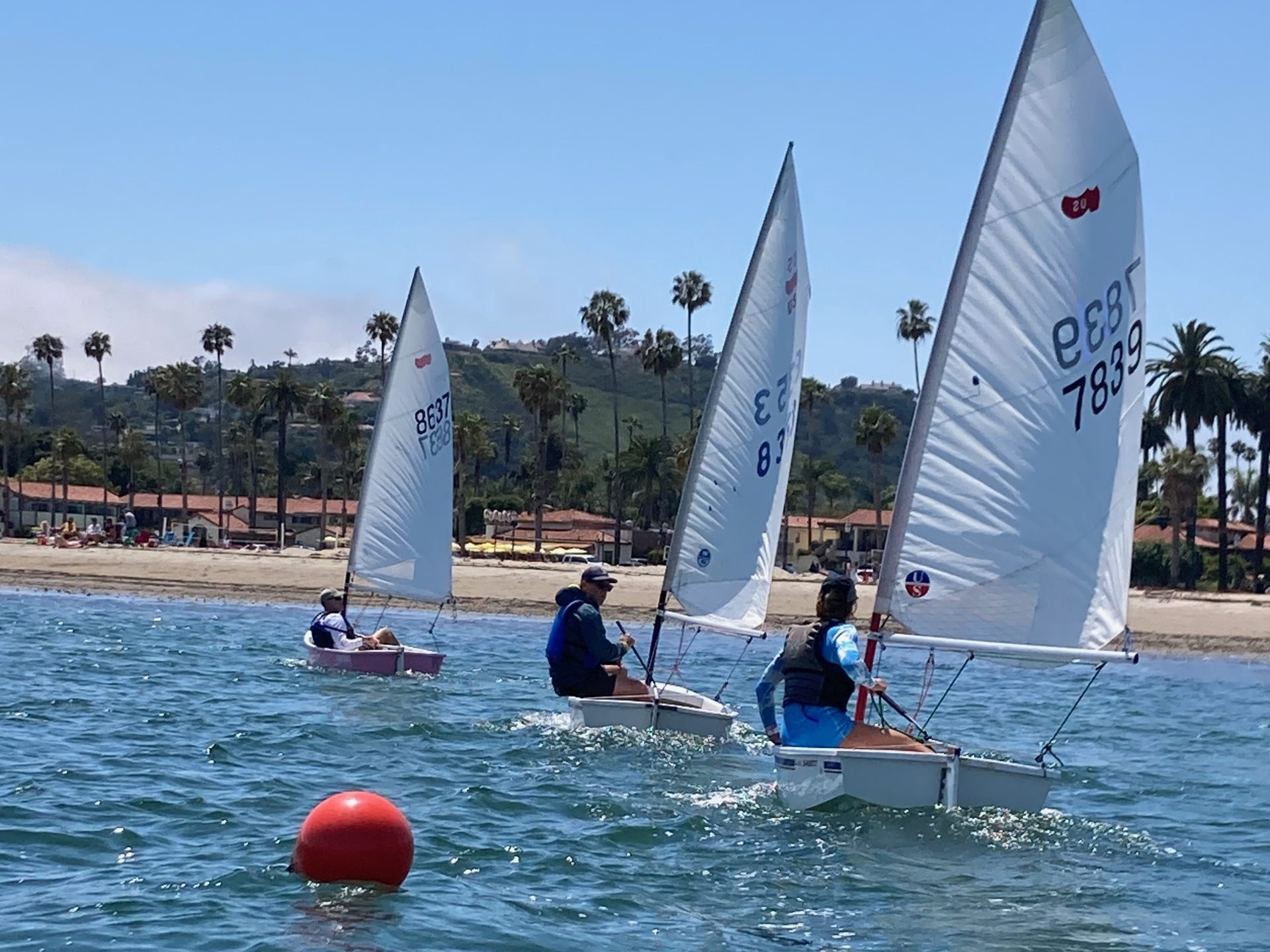 First Annual SBSSA Alumni Regatta « Santa Barbara Sea Shell Association